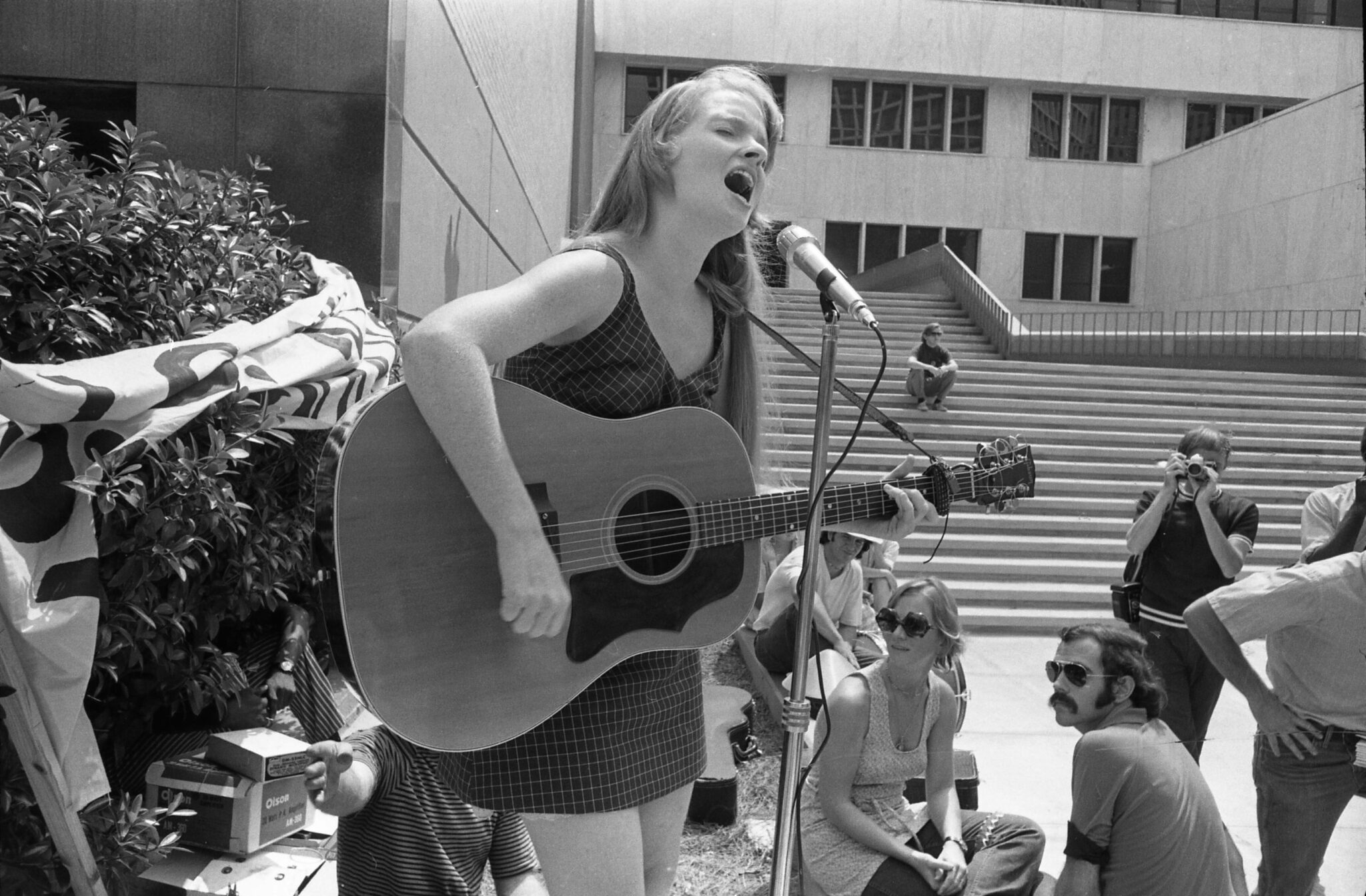 More Than Just Politics: The Bird and Popular Culture – Great Speckled Bird